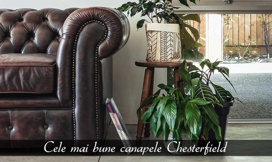 8 Cele mai frumoase canapele din piele naturală - ZenSpot