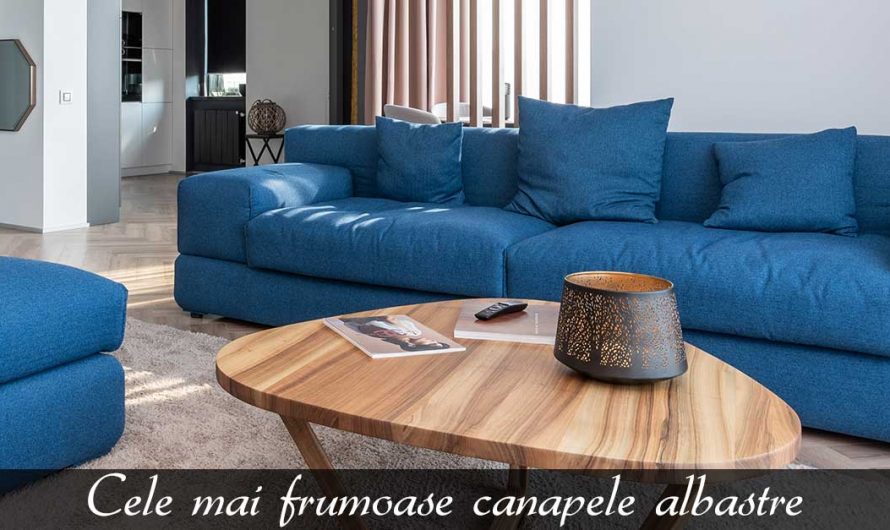 9 Cele mai frumoase canapele din piele naturală - ZenSpot