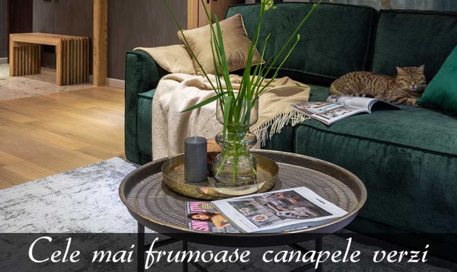 8 Cele mai frumoase canapele din piele naturală - ZenSpot